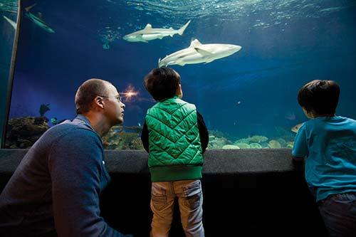 Disney | Resort Directory Embarc® Vancouver