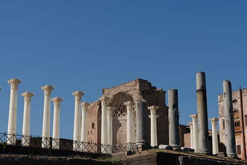 Disney | Resort Directory Residence Garden